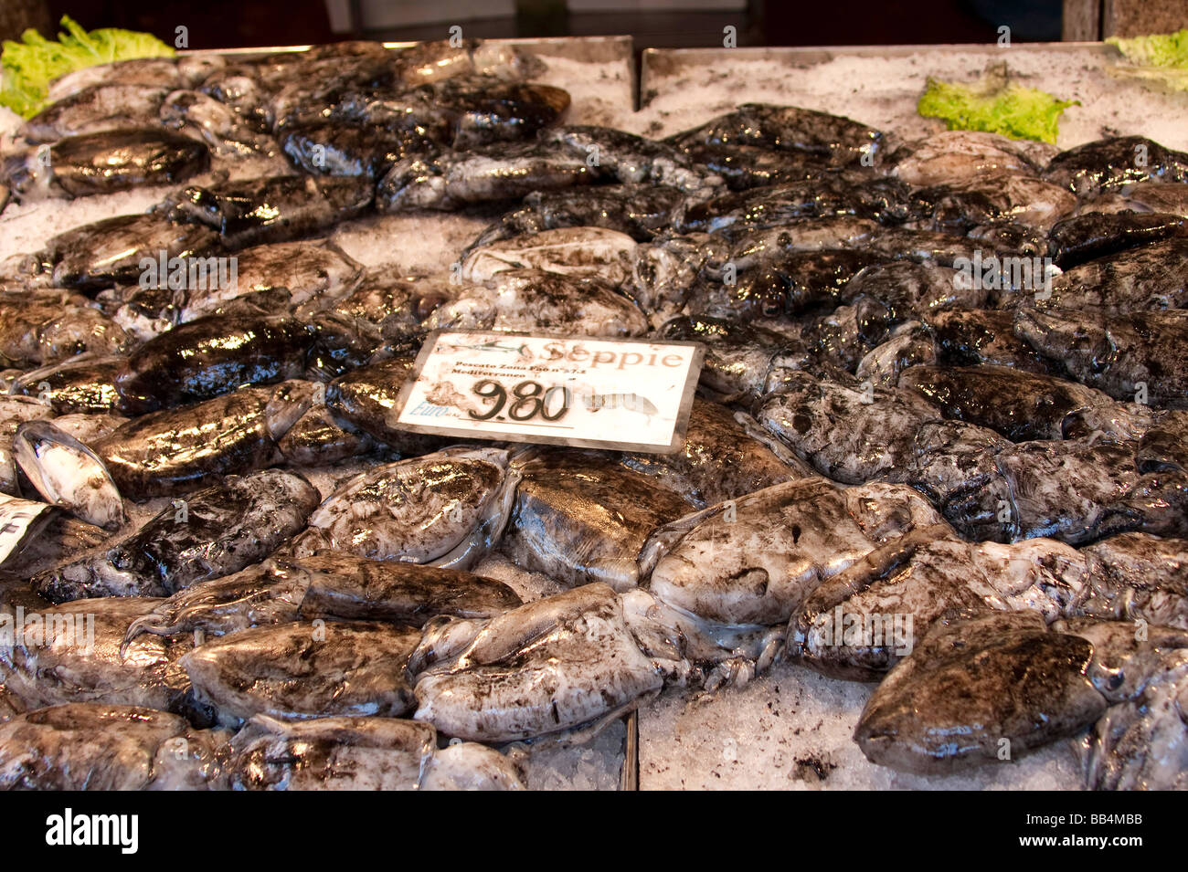 Sepia Fish and seafood in fishmarket stall Campo Pescheria Venezia ...