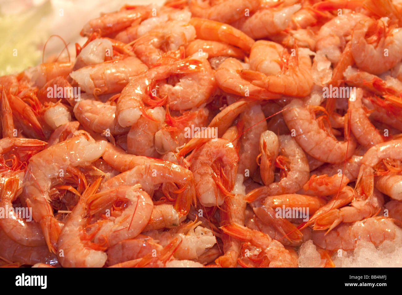 Fish and seafood prawns in fishmarket stall Campo Pescheria Venezia ...