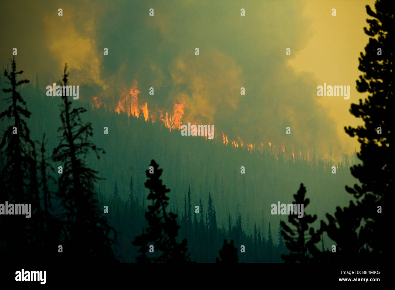Wildfire in north central Washington, Okanogan National Forest. Tripod ...
