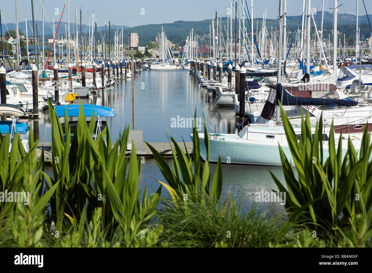 Squalicum Harbor, Bellingham, Washington Stock Photo - Alamy