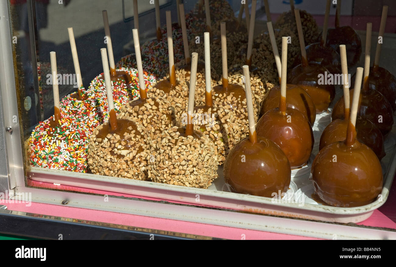 candied or candy or sprinkled apples for sale at Florida Strawberry ...