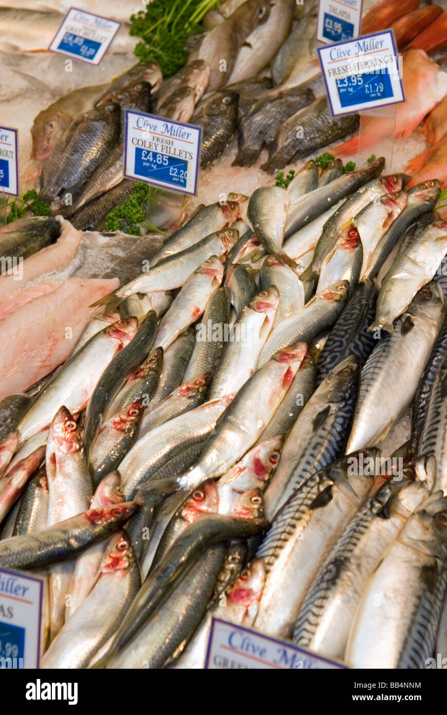 Fresh Fish on the Coventry Market Stall of Clive Miller Stock Photo - Alamy