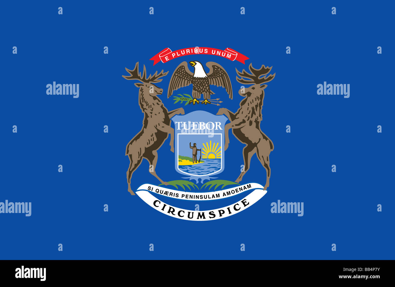 State coat of arms of the united states of america hi-res stock ...