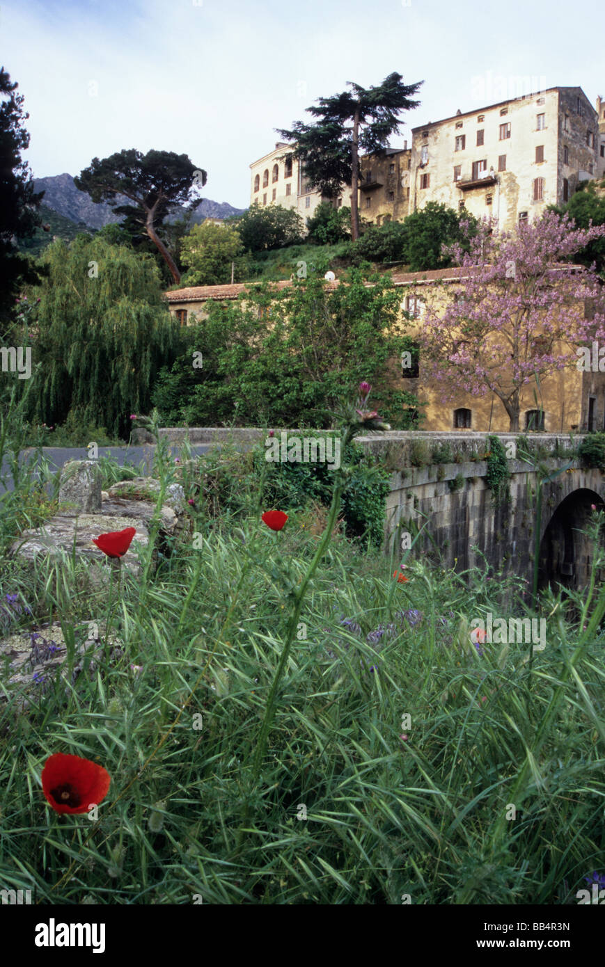 Ville de Paraso, Corsica Stock Photo - Alamy
