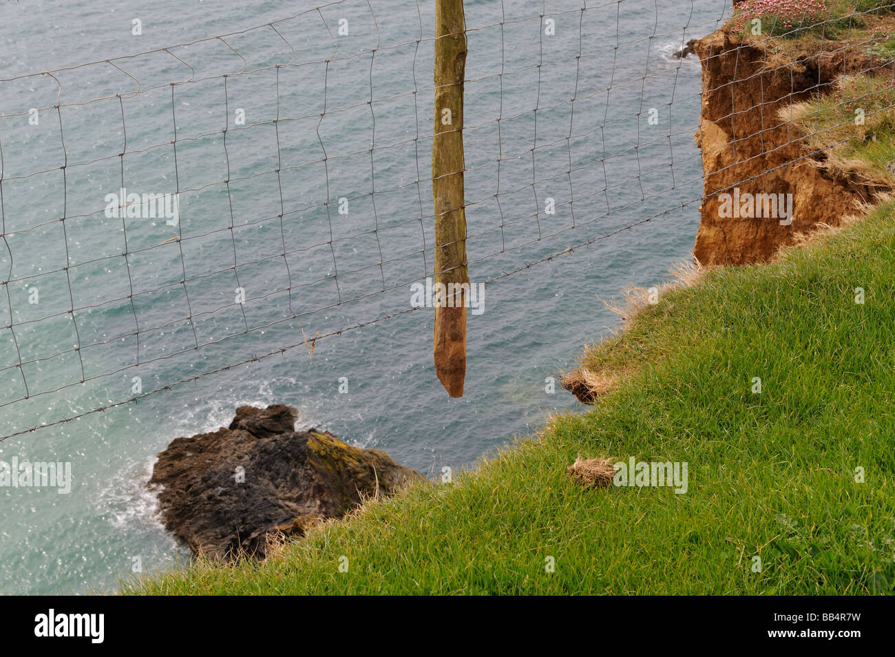 Cliffside erosion on the Pembrokeshire coast path near Solva, Wales, UK ...
