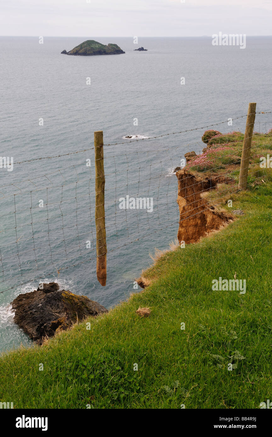 Cliffside erosion on the Pembrokeshire coast path near Solva, Wales, UK ...