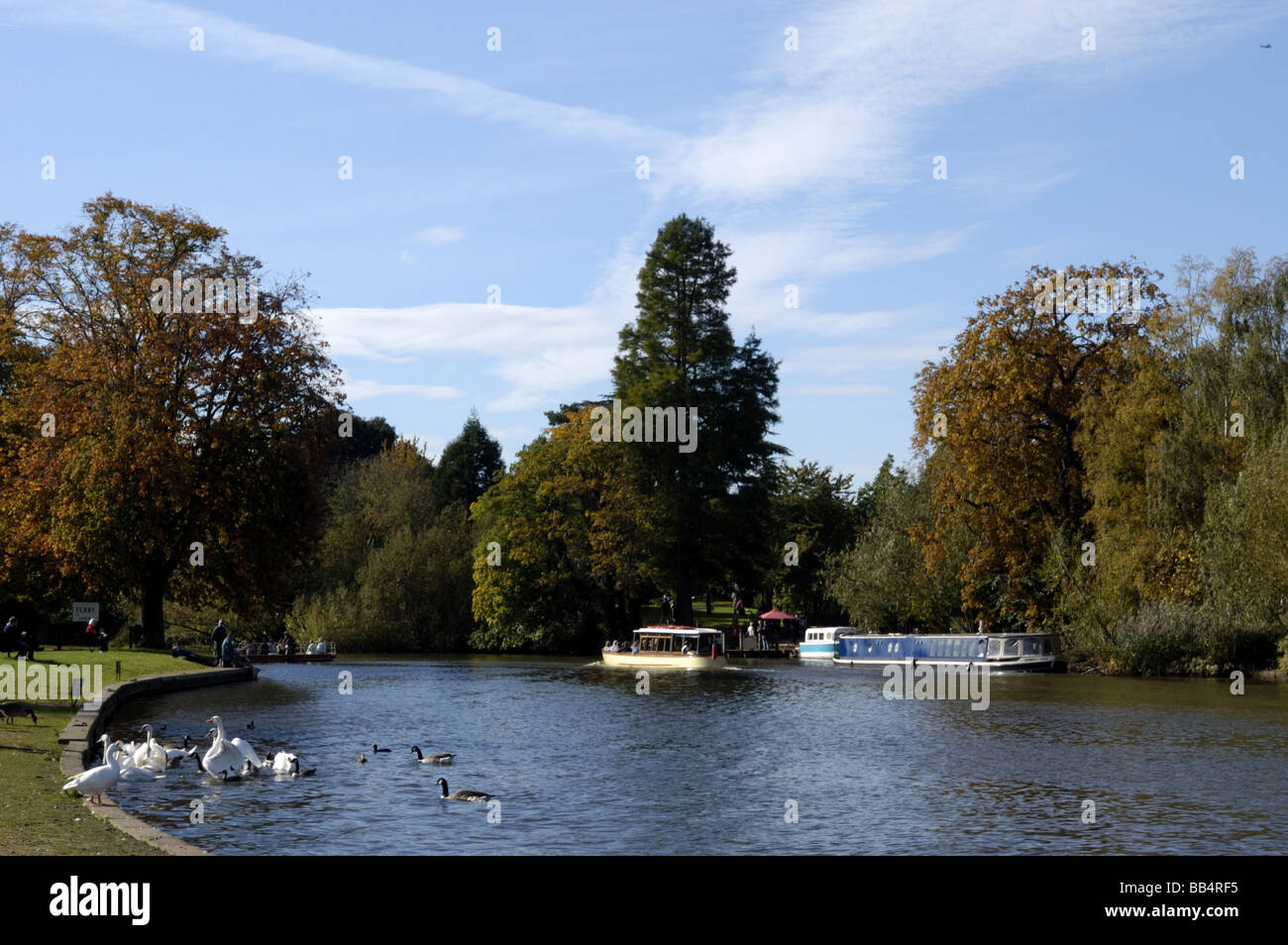 River Avon, Stratford-upon-Avon, Warwickshire, England Stock Photo - Alamy