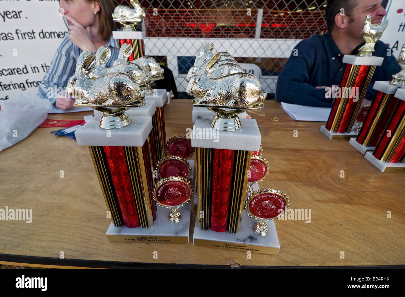 Florida Strawberry Festival Plant City Florida Farm animal award ...