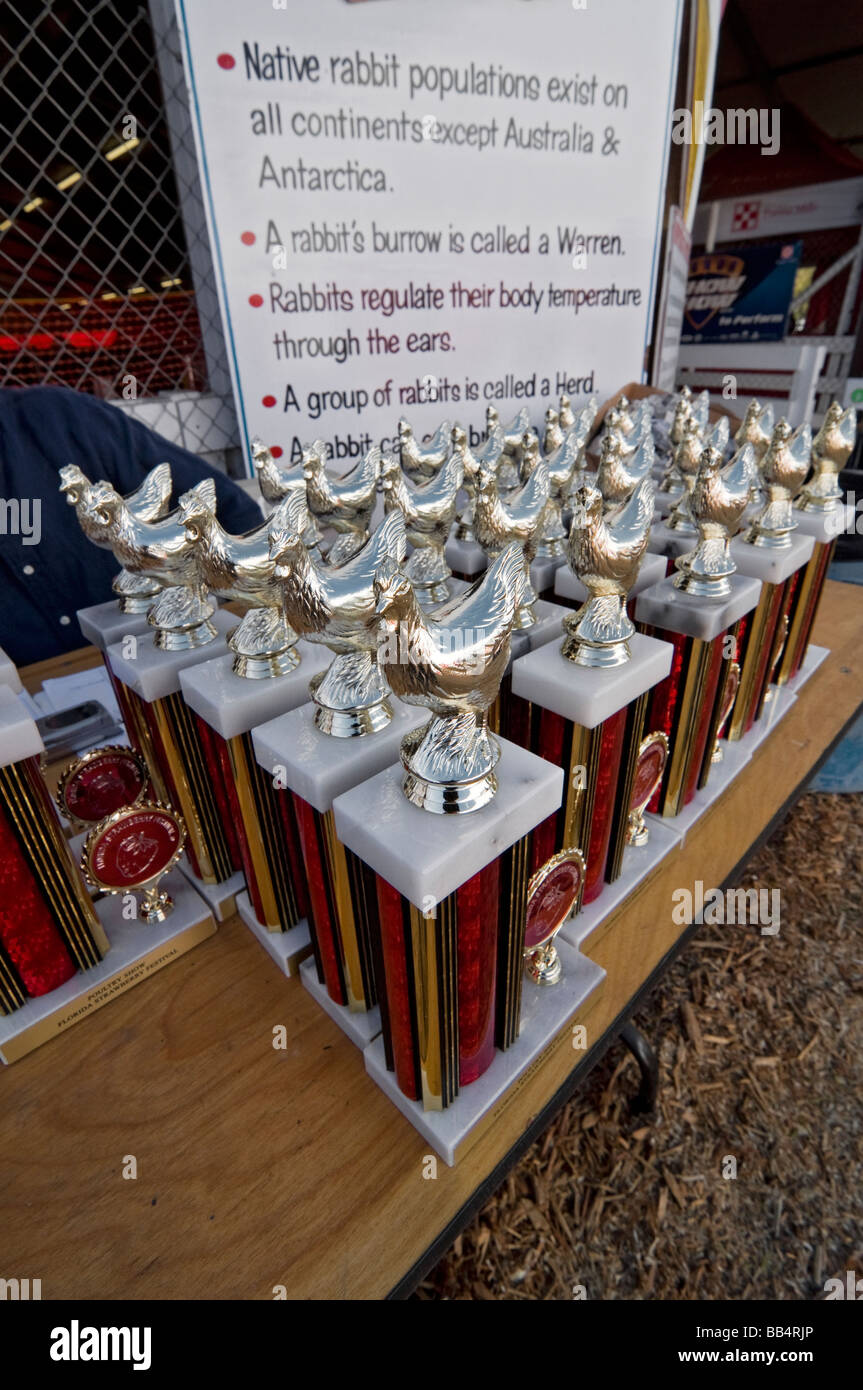 Florida Strawberry Festival Plant City Florida Farm animal award ...