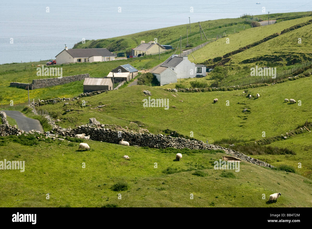 Irish cottage sheep hi-res stock photography and images - Alamy