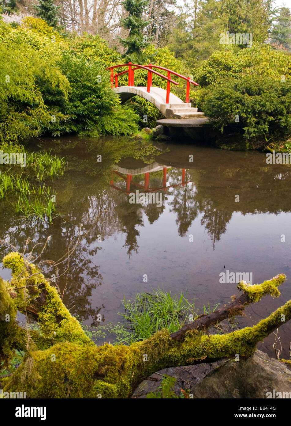 Fujitaro kubota hi-res stock photography and images - Alamy