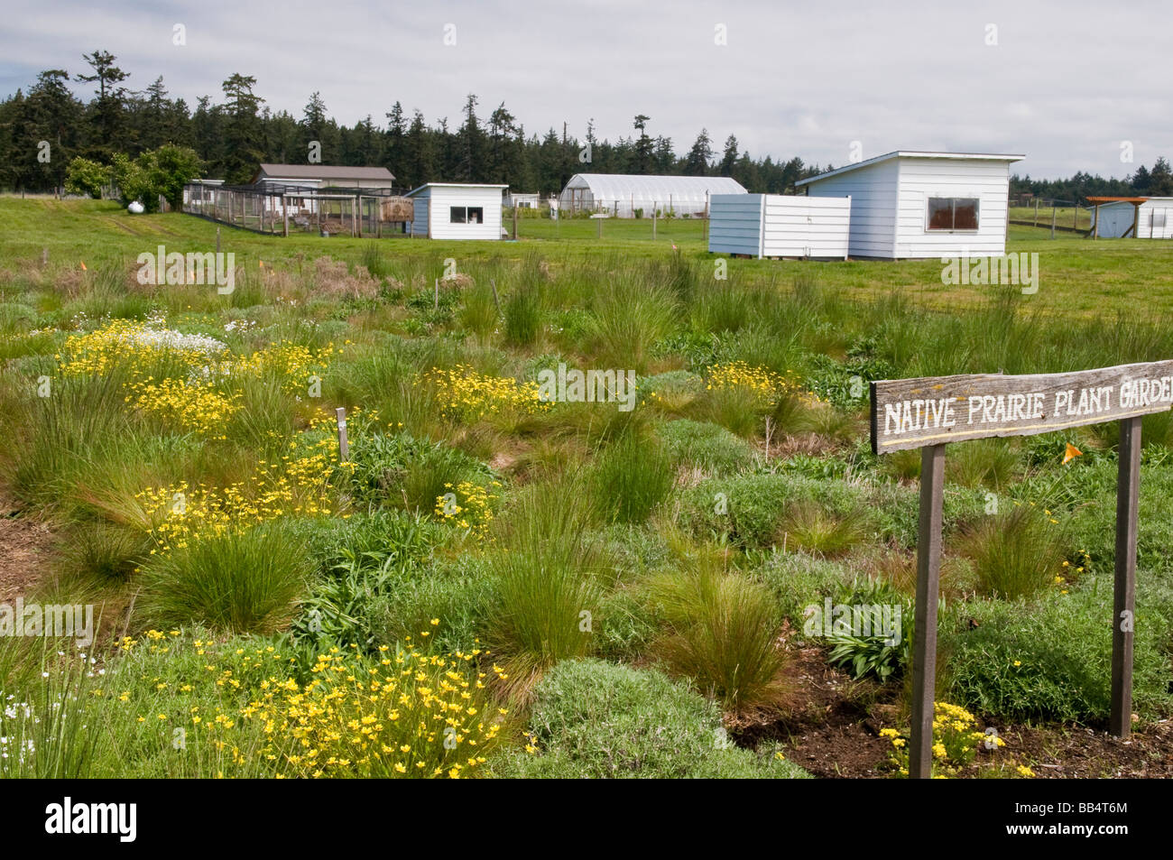 Au Sable Institute focus is faith based environmental studies Stock ...