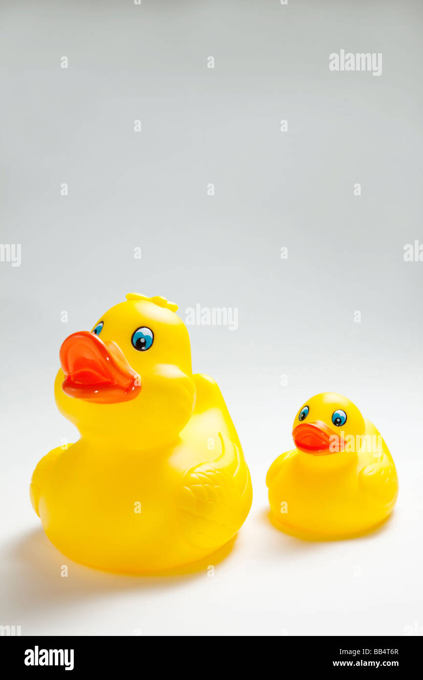 two rubber duckies Stock Photo - Alamy