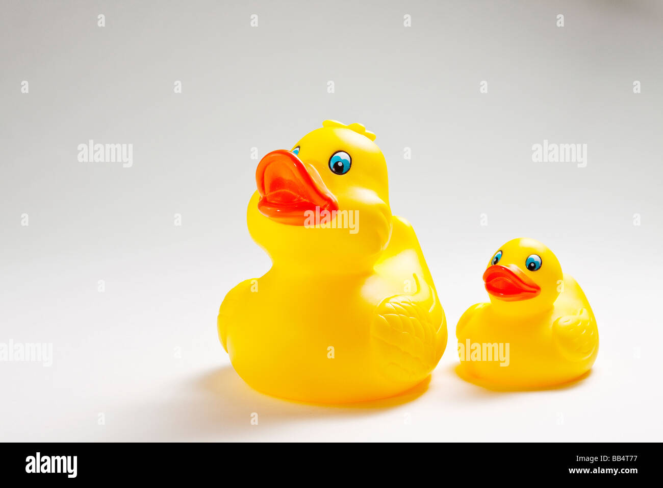 two rubber duckies Stock Photo - Alamy