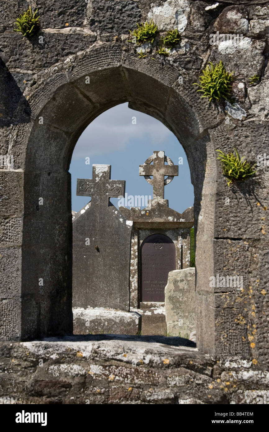 Europe, Ireland, County Mayo, Burrishoole Abbey. Tombstones with ...