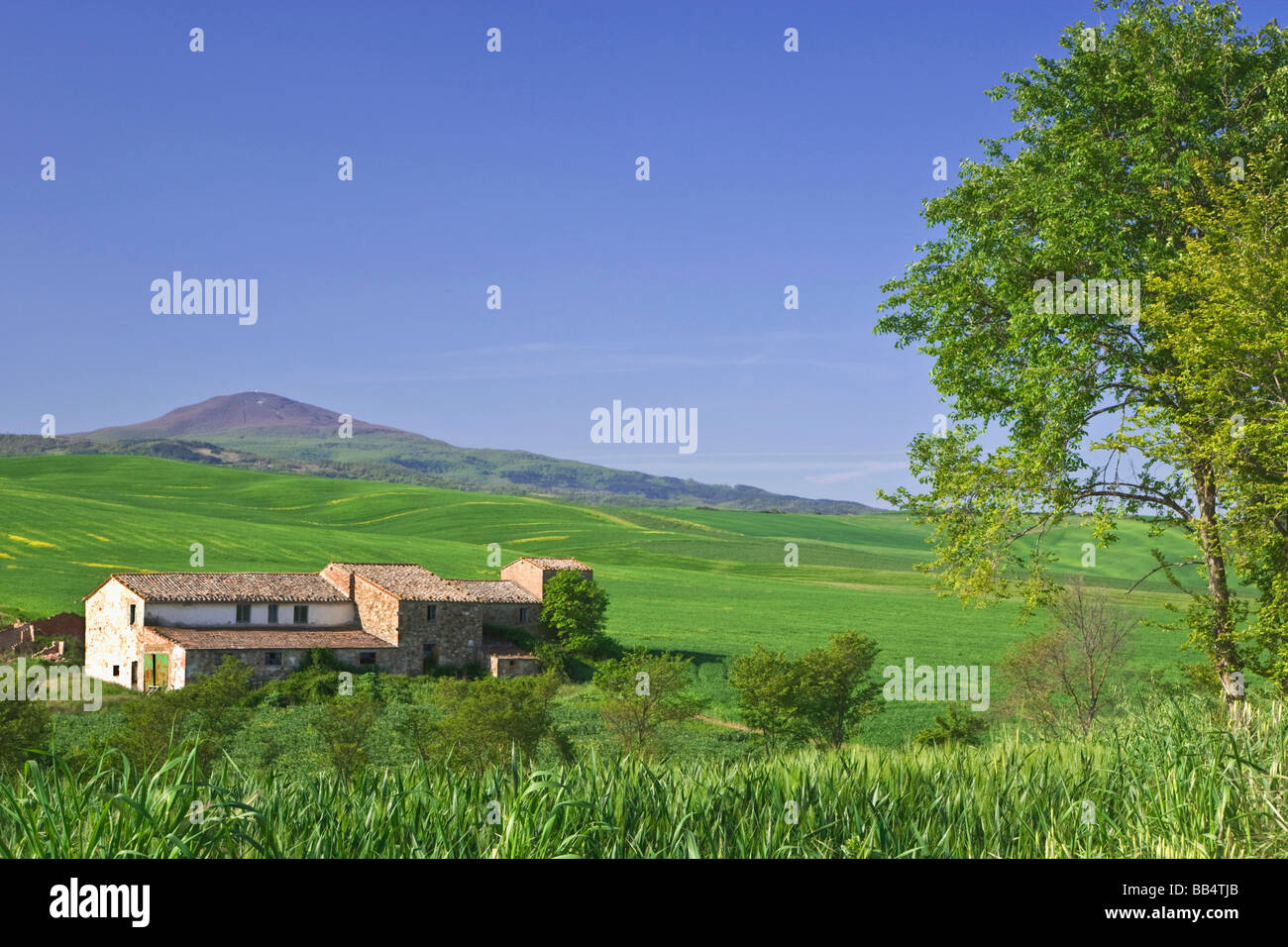 Europe, Italy, Tuscany. Countryside villa near the village of Gallena ...
