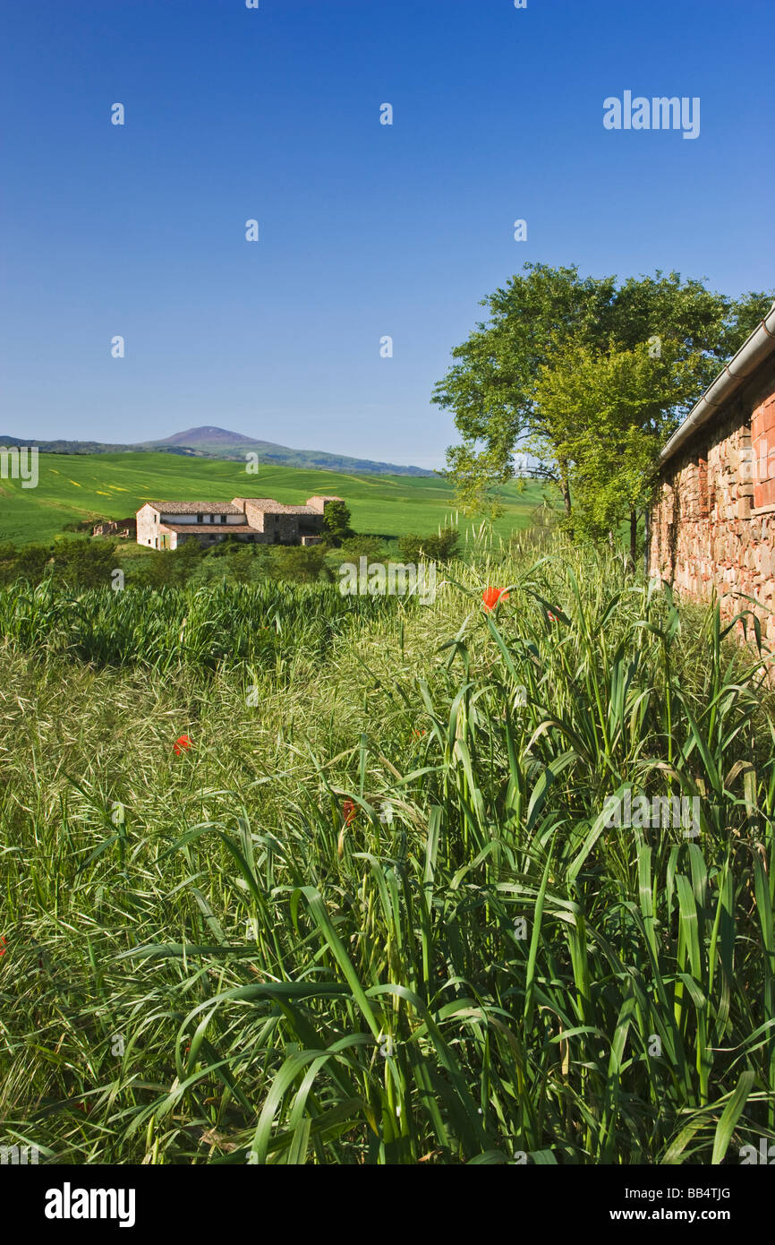 Europe, Italy, Tuscany, Gallena. Pastoral scenic in Italian countryside ...