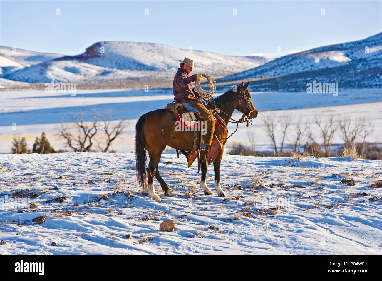 Cowboy riding a horse on the range on The Hideout Ranch in Shell ...