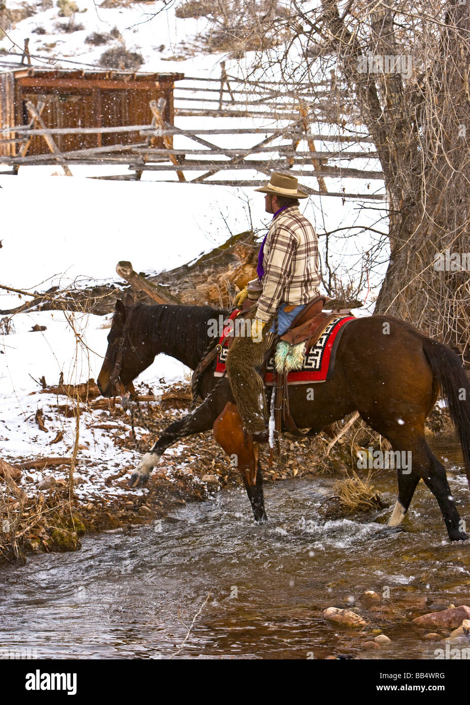 Cowboy riding a horse on the range on The Hideout Ranch in Shell ...