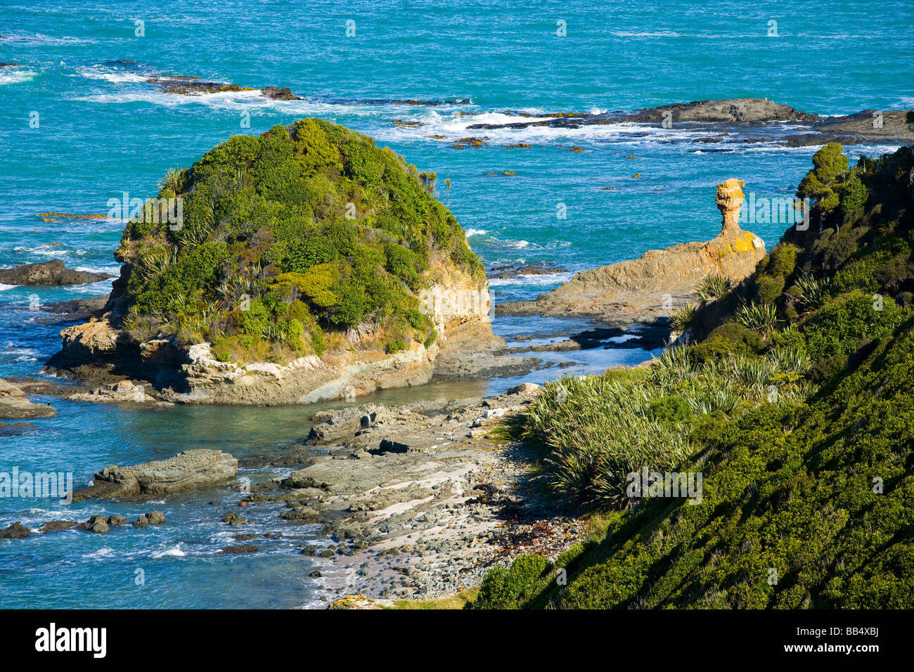 New Zealand Southland The Catlins vegetation meets the rocky coastline ...
