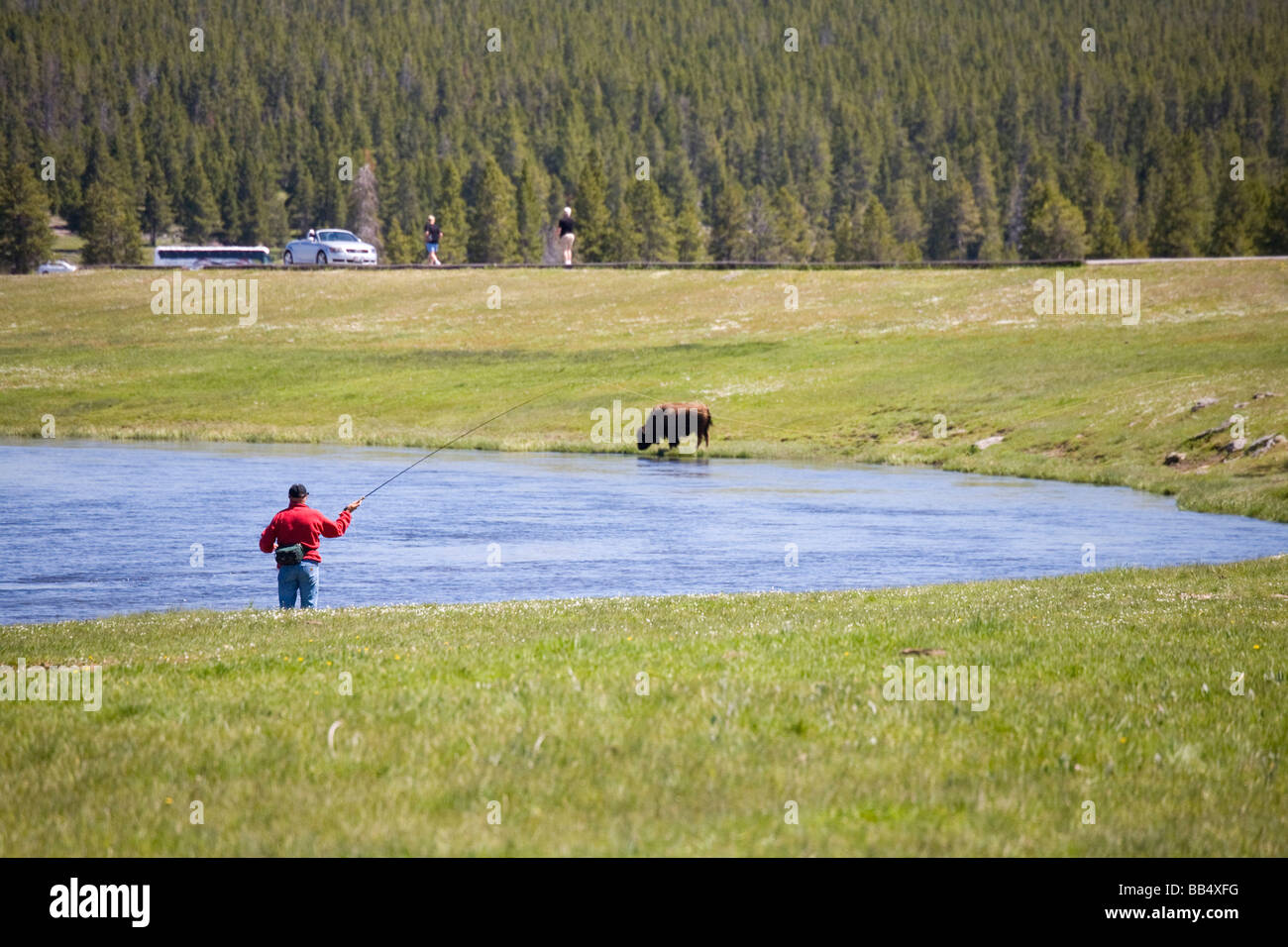 WY, Yellowstone National Park, Fly fishing, in the Firehole River Stock ...