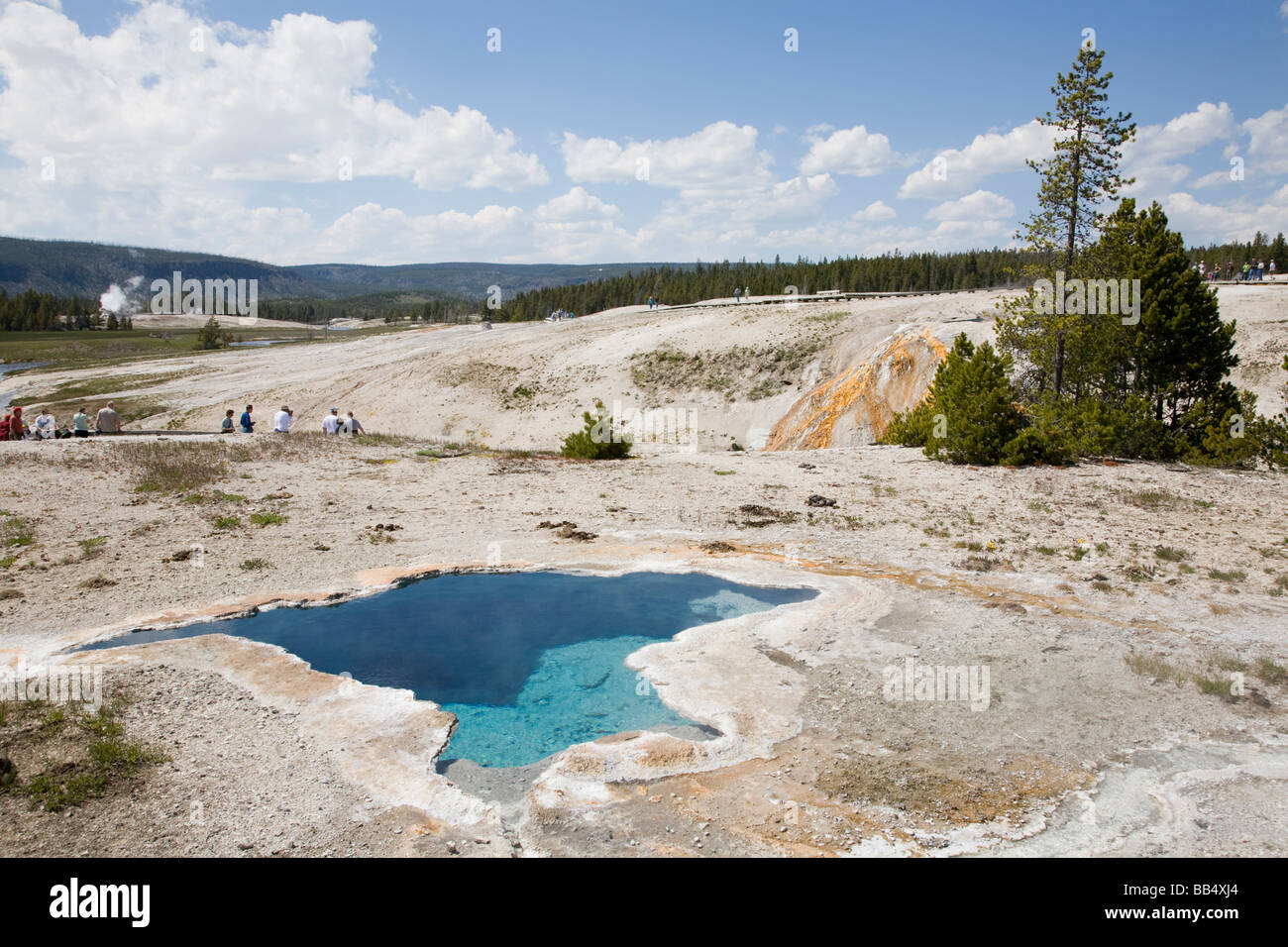 WY, Yellowstone National Park, Upper Geyser Basin, Blue Star Spring ...