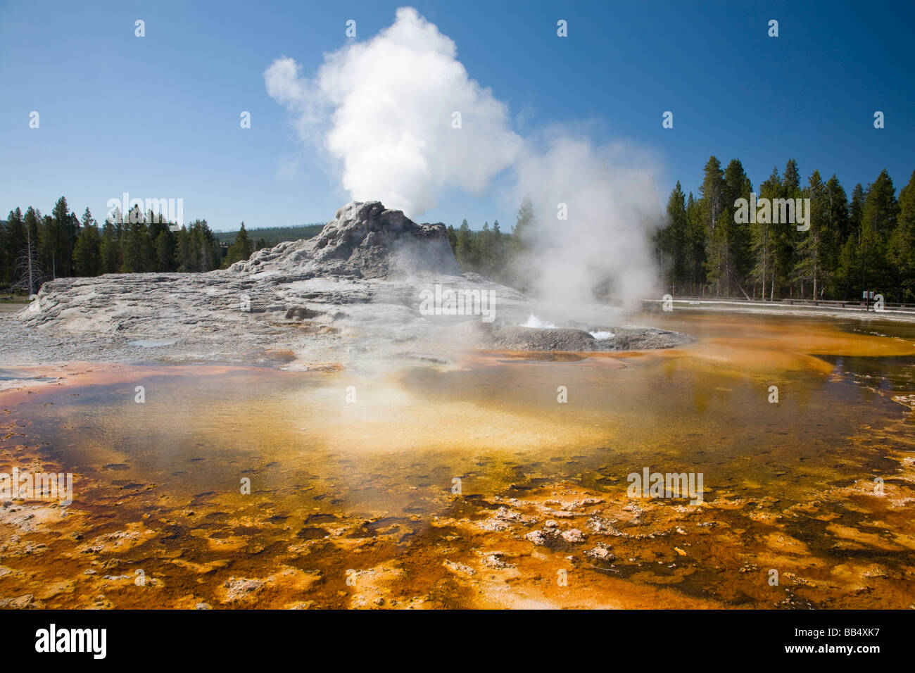 WY, Yellowstone National Park, Upper Geyser Basin, Crested Pool ...