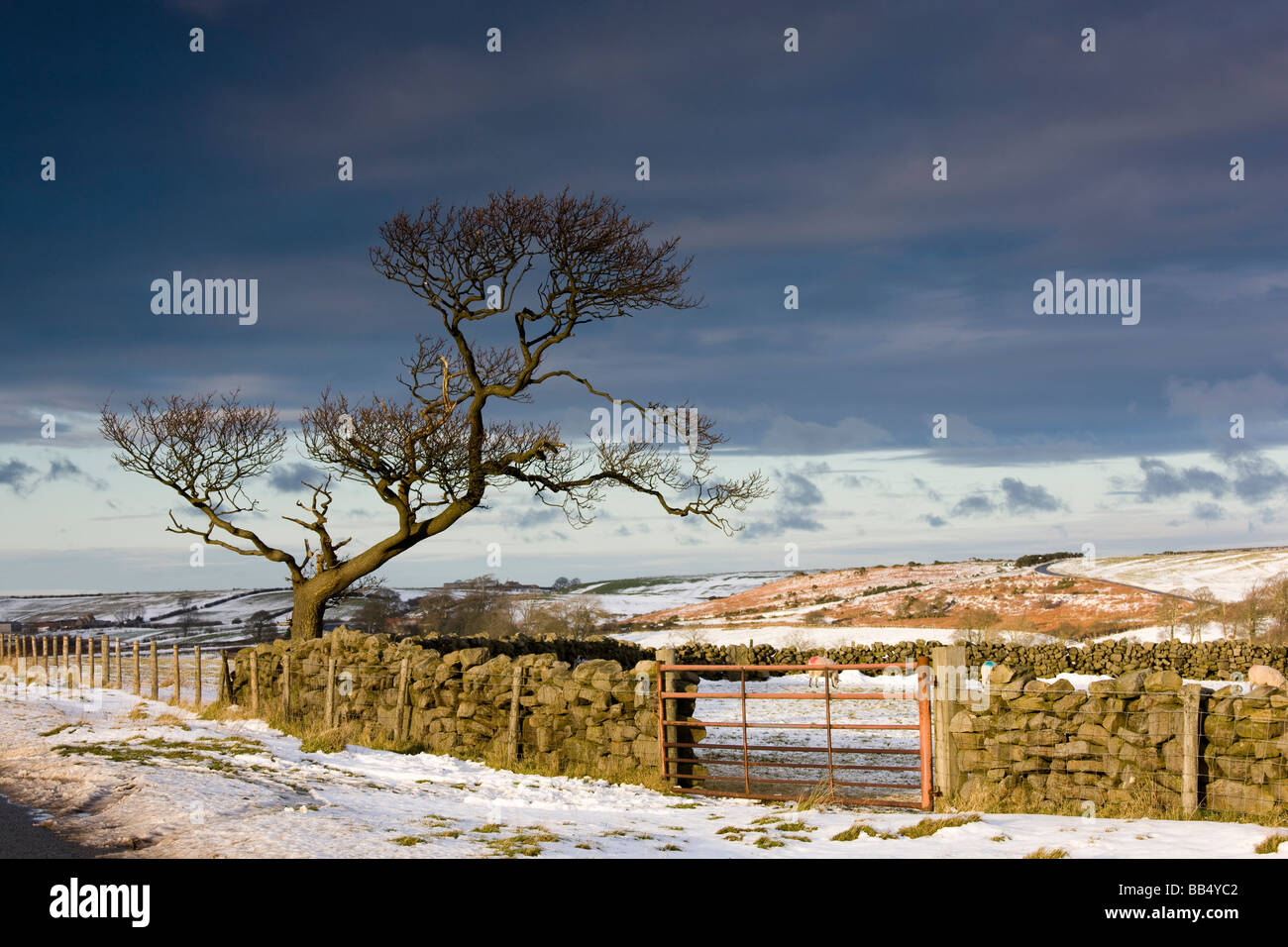 Rural scene; North Yorkshire, England, UK Stock Photo - Alamy