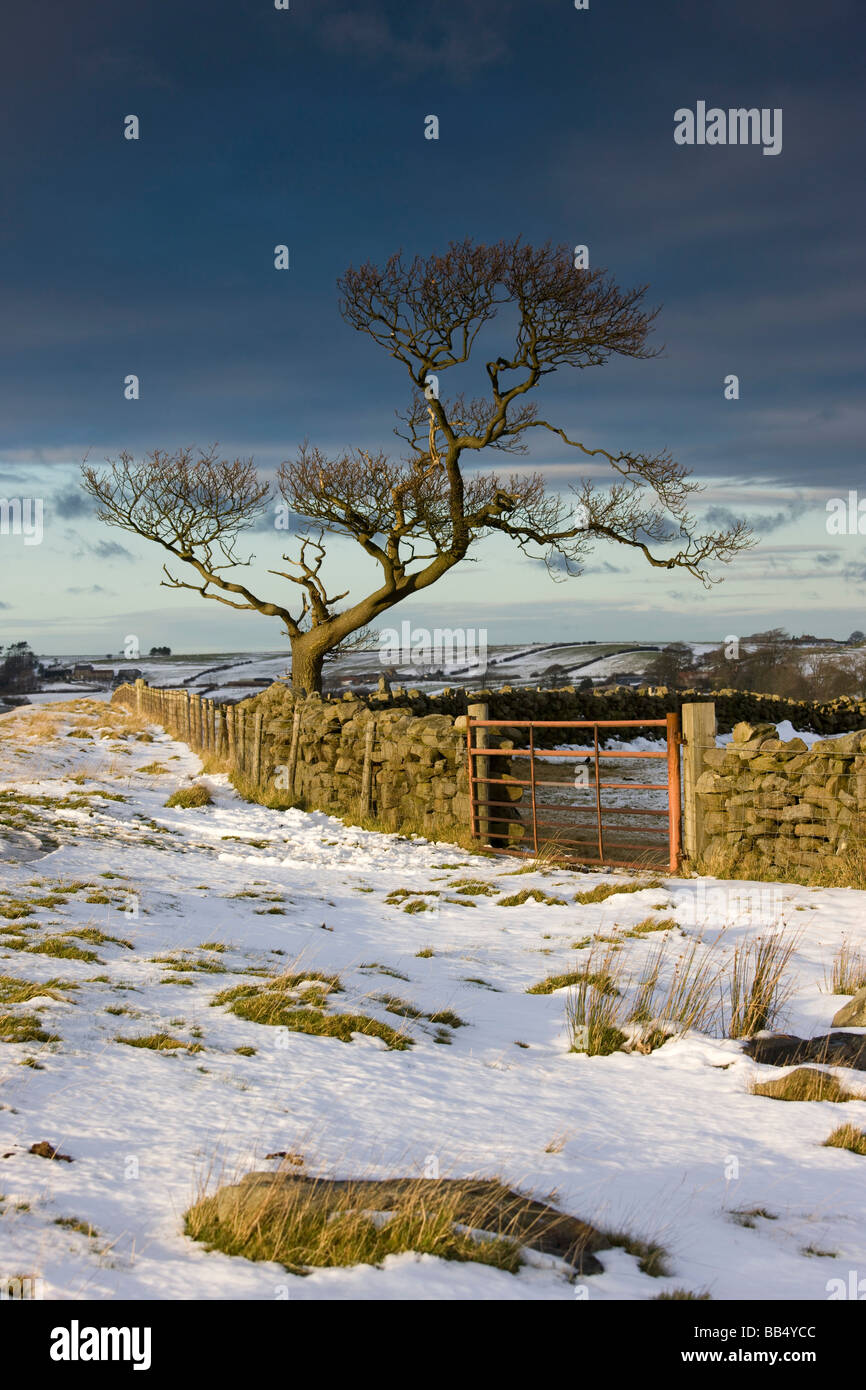Rural scene; North Yorkshire, England, UK Stock Photo - Alamy