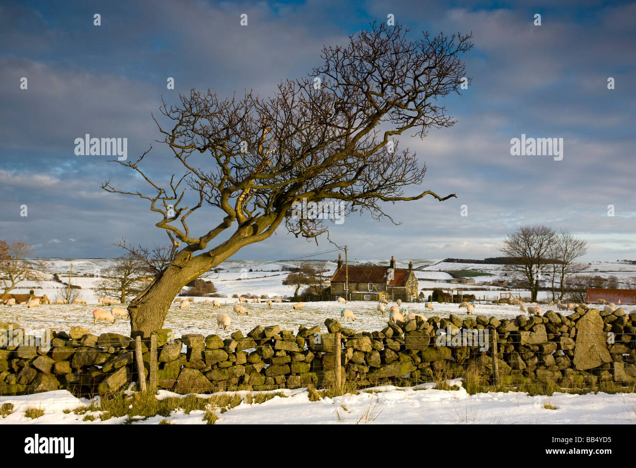 Rural scene; North Yorkshire, England, UK Stock Photo - Alamy