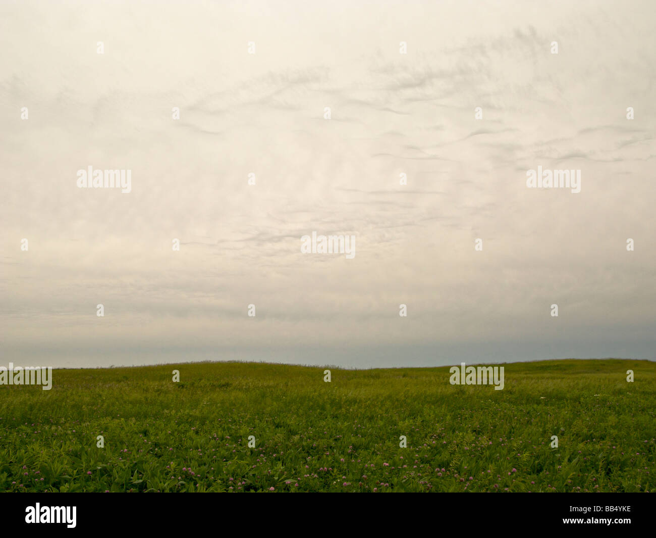 Illinois prairie grass hi-res stock photography and images - Alamy