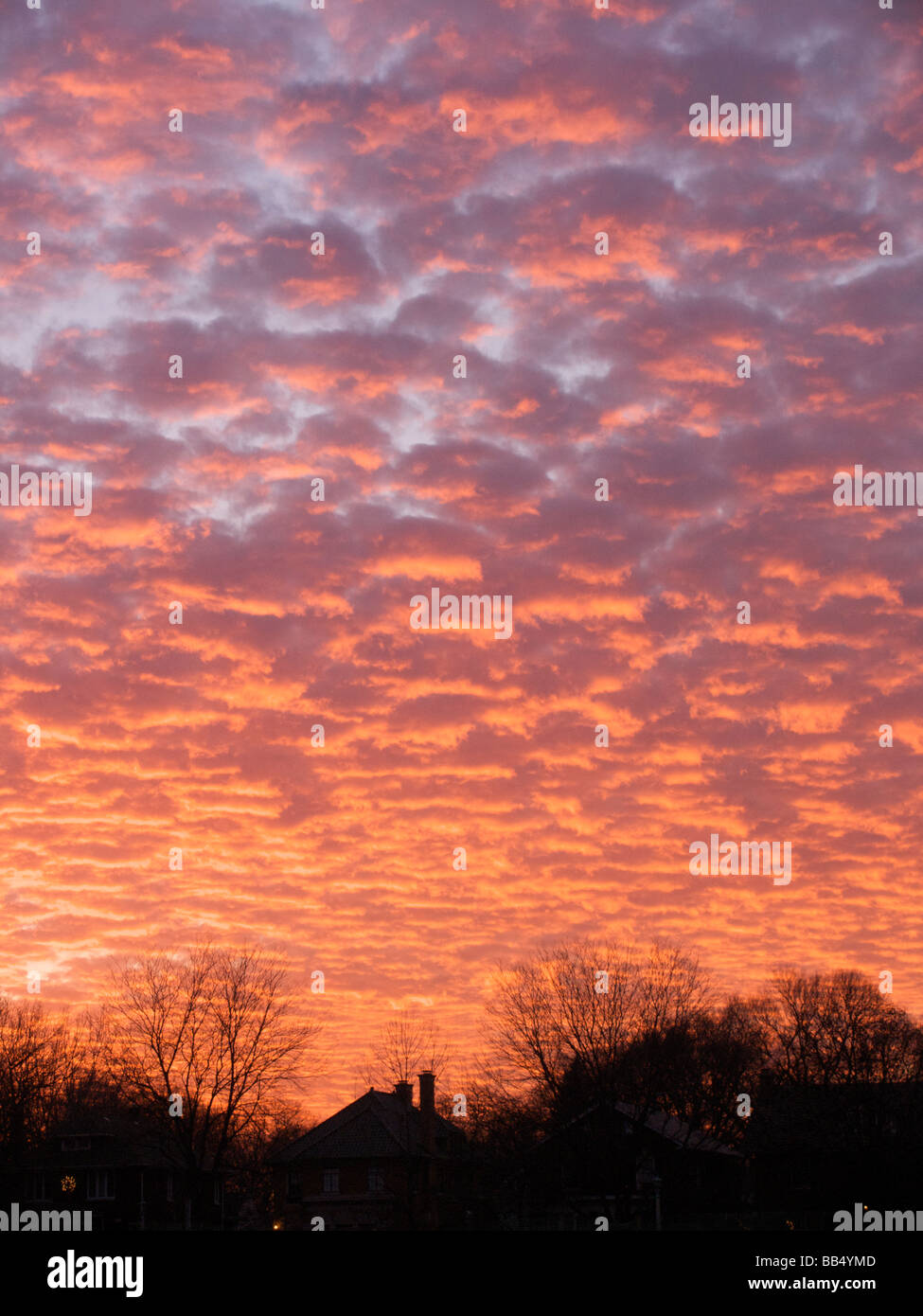 Altocumulus clouds at sunset Stock Photo - Alamy