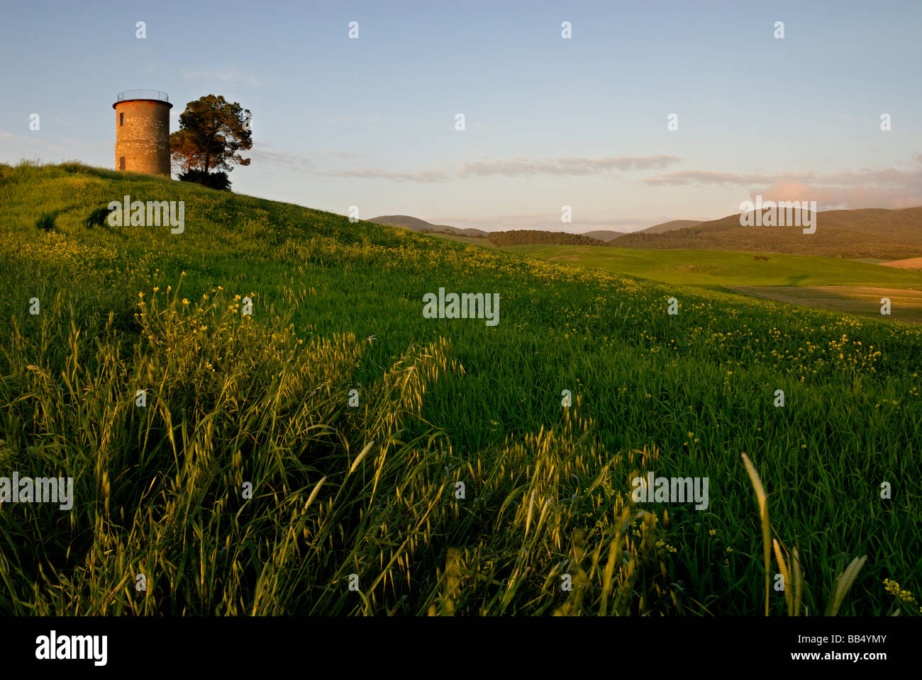 Observation tower by tree on landscape against sky near medieval (once ...