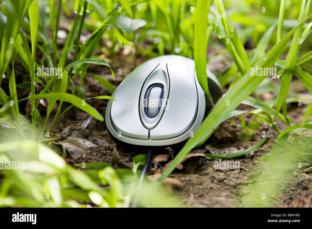 computer mouse placed outside in tall grass Stock Photo - Alamy