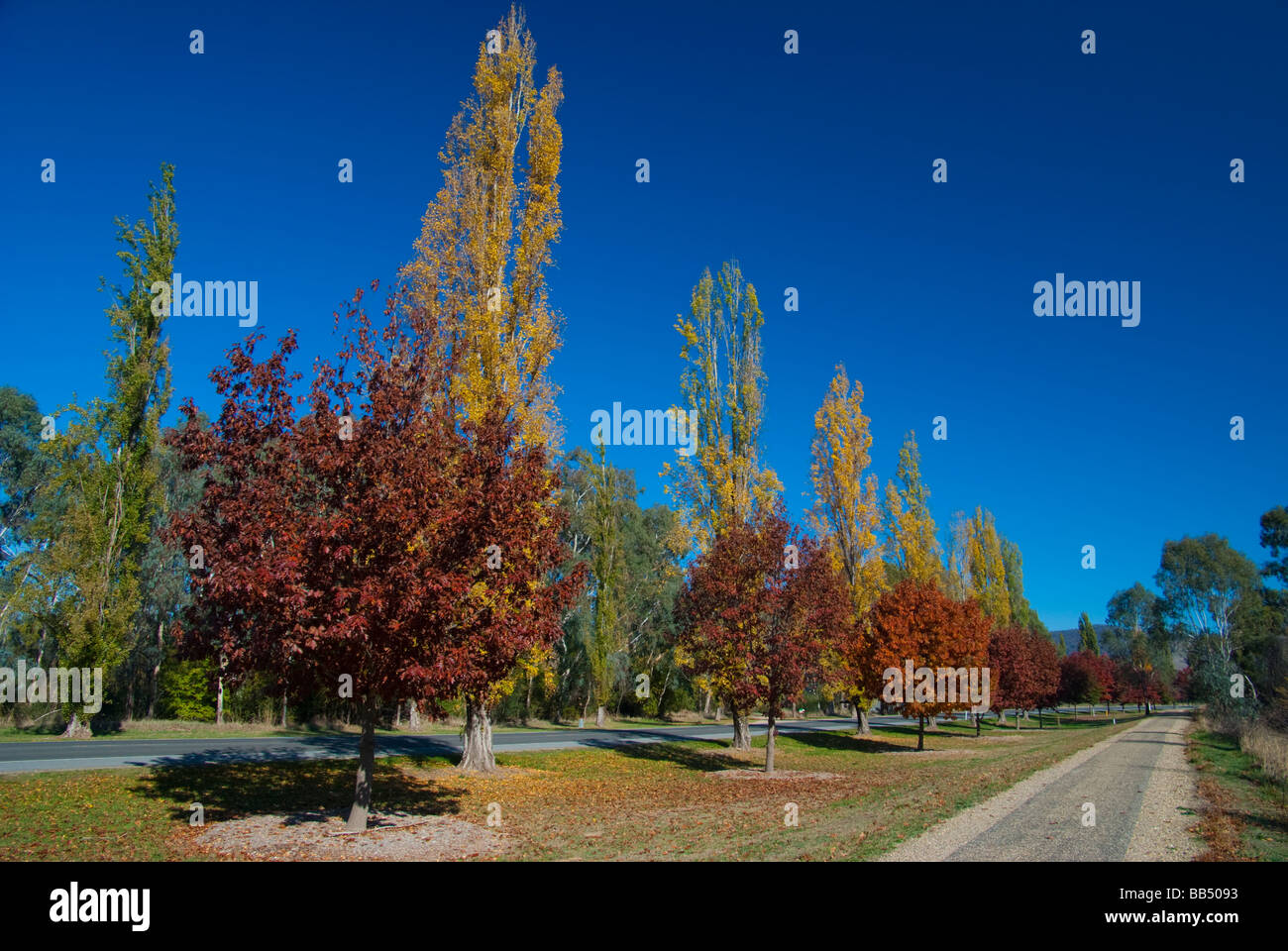 Myrtleford hi-res stock photography and images - Alamy