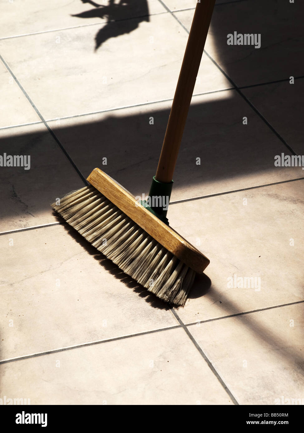 Weeping broom hi-res stock photography and images - Alamy