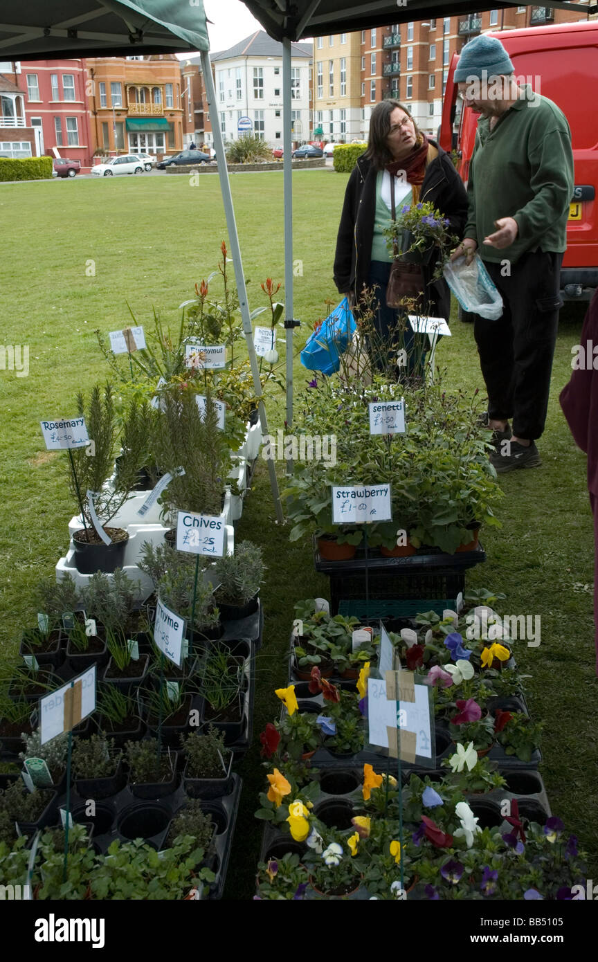 Cliftonville farmers market hi-res stock photography and images - Alamy
