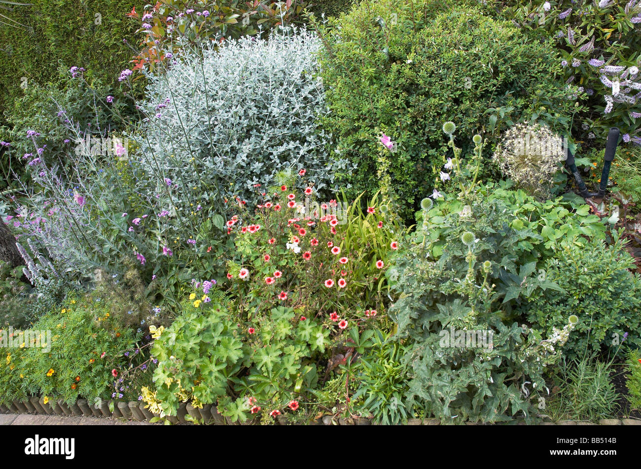 An English cottage garden border in flower Stock Photo - Alamy