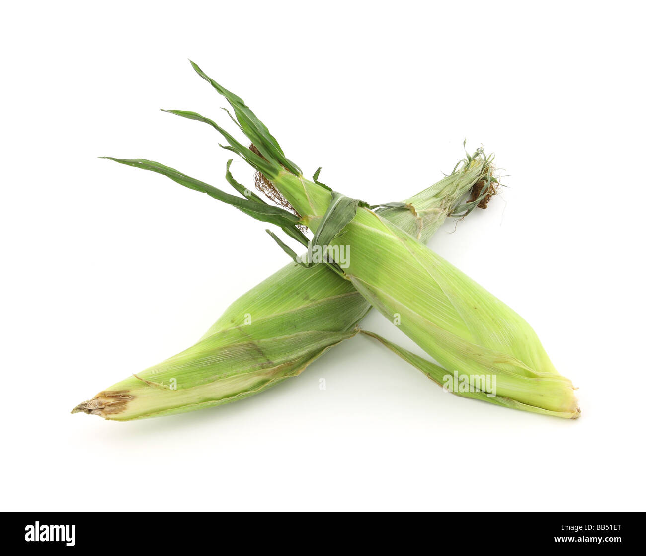 Two ears of corn Stock Photo - Alamy