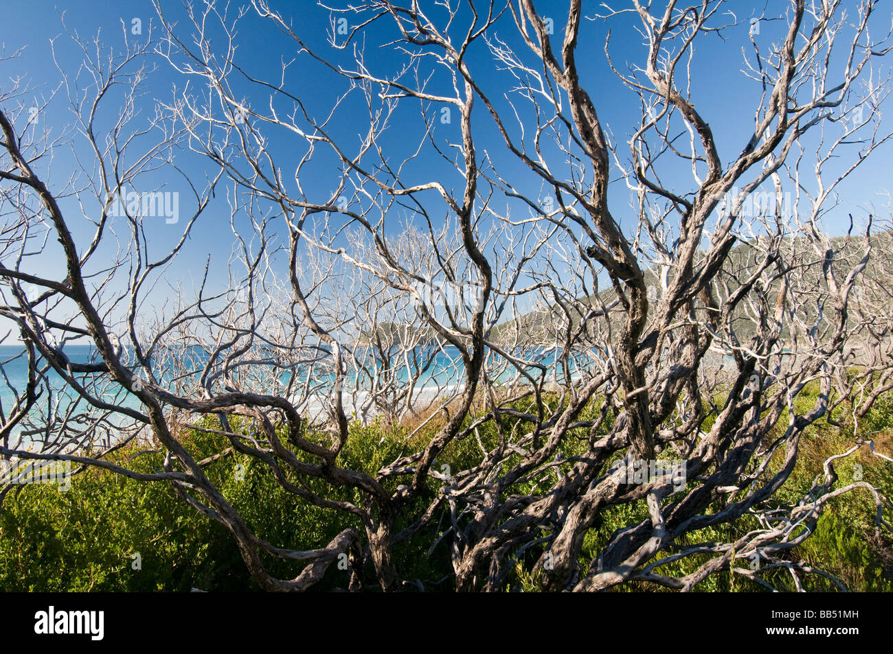 Wilsons Promontory National Park Victoria Australia Stock Photo - Alamy