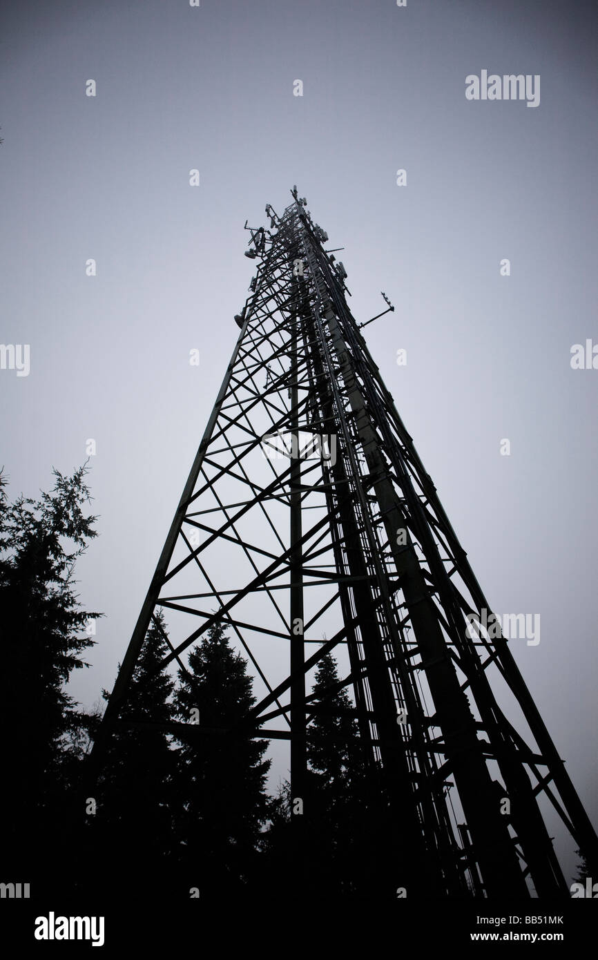 Pylon trees woods hi-res stock photography and images - Alamy