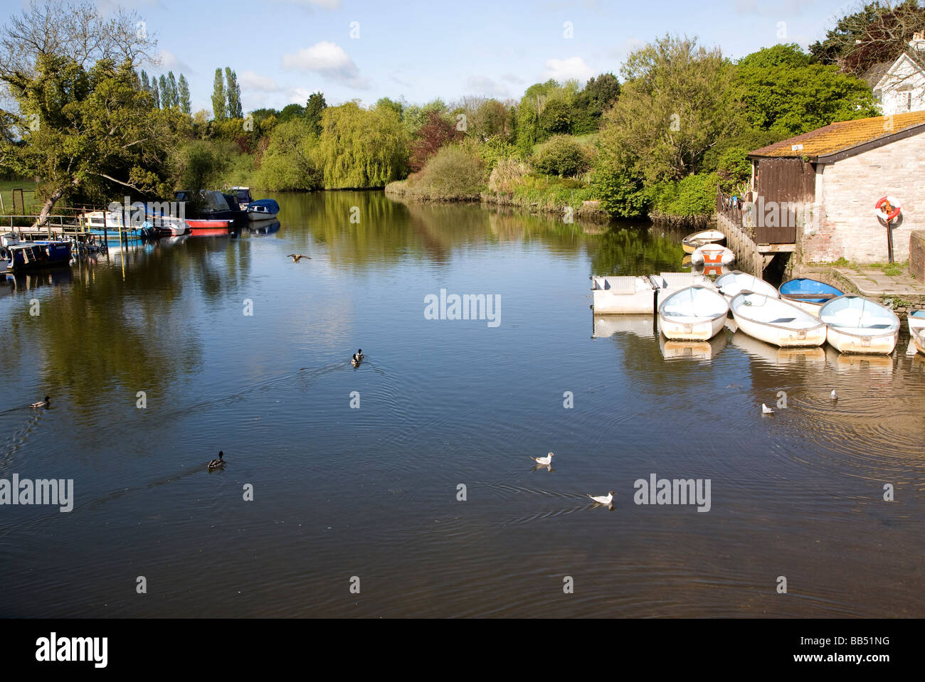 Boats River Frome Wareham Dorset England Stock Photo - Alamy