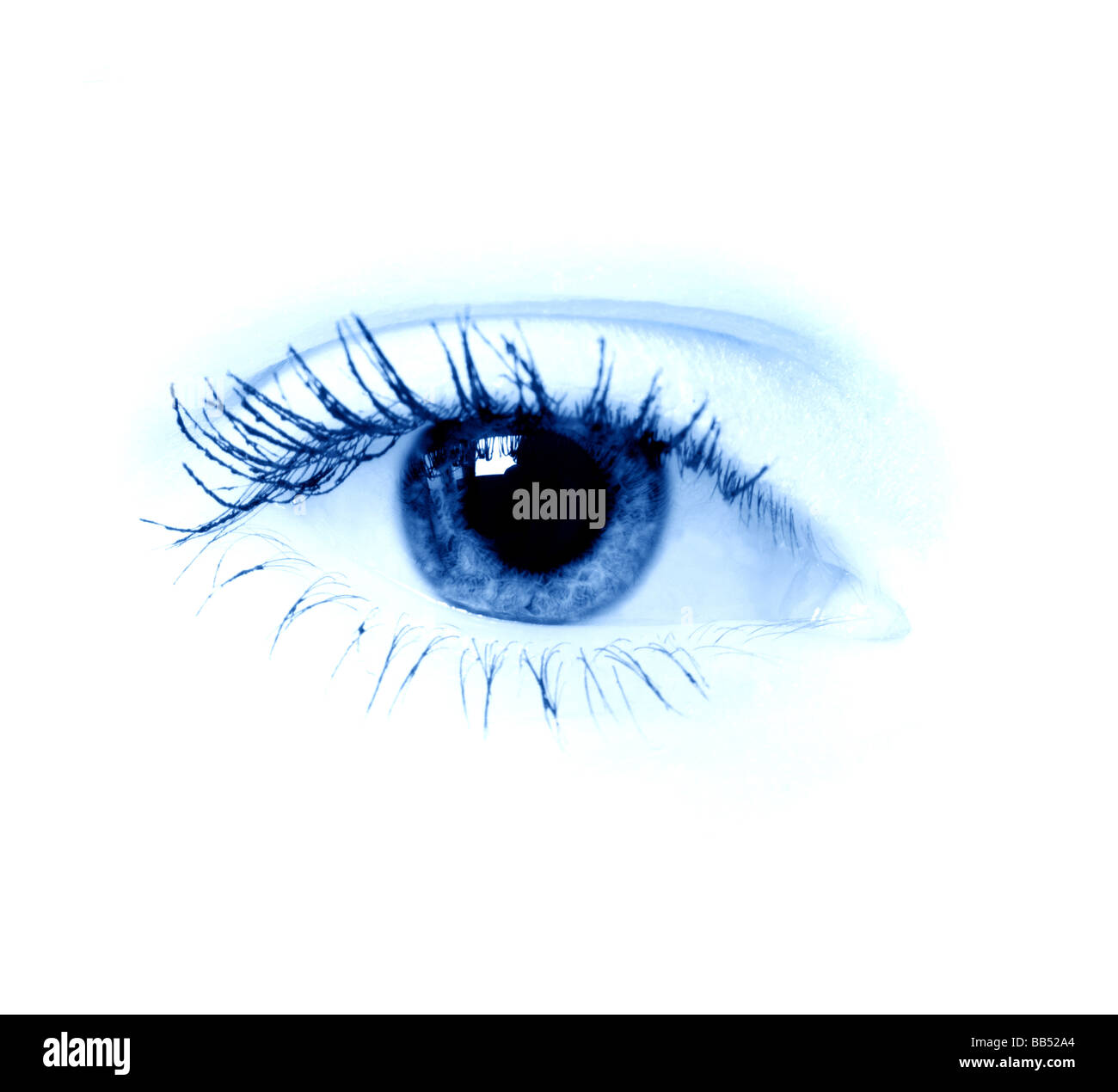 Bloodshot eye Cut Out Stock Images & Pictures - Alamy