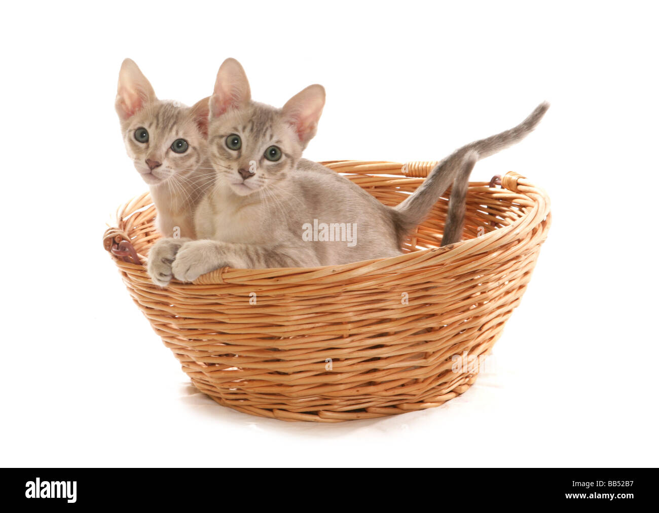 Two boys sitting playing in Cut Out Stock Images & Pictures - Alamy