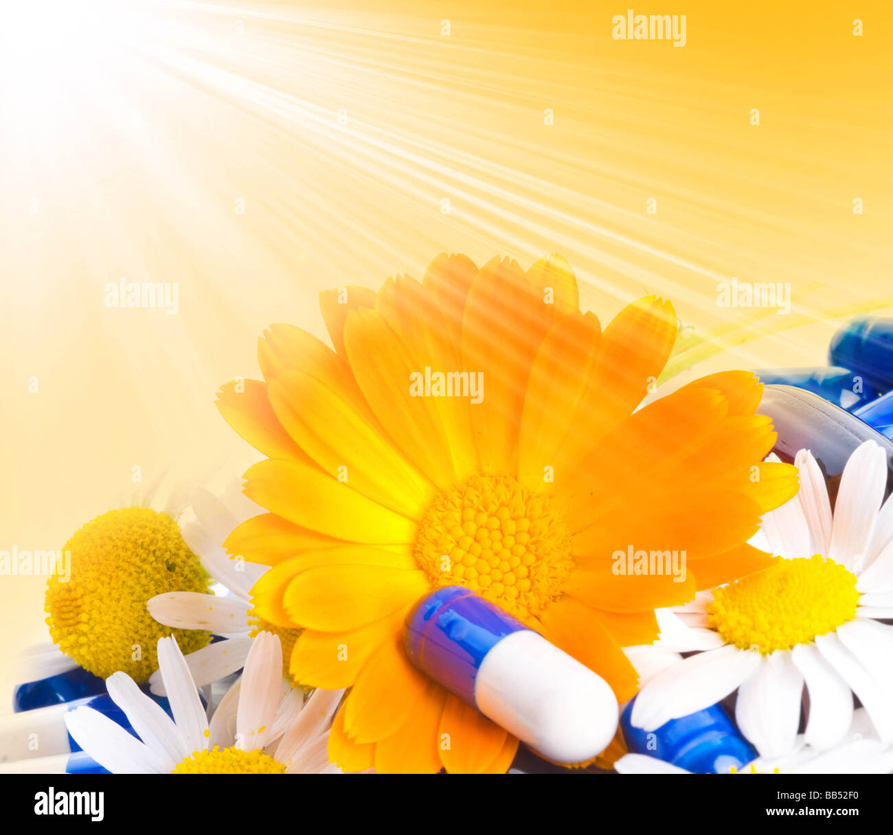 Tablets and flowers Herbal medicine Stock Photo - Alamy