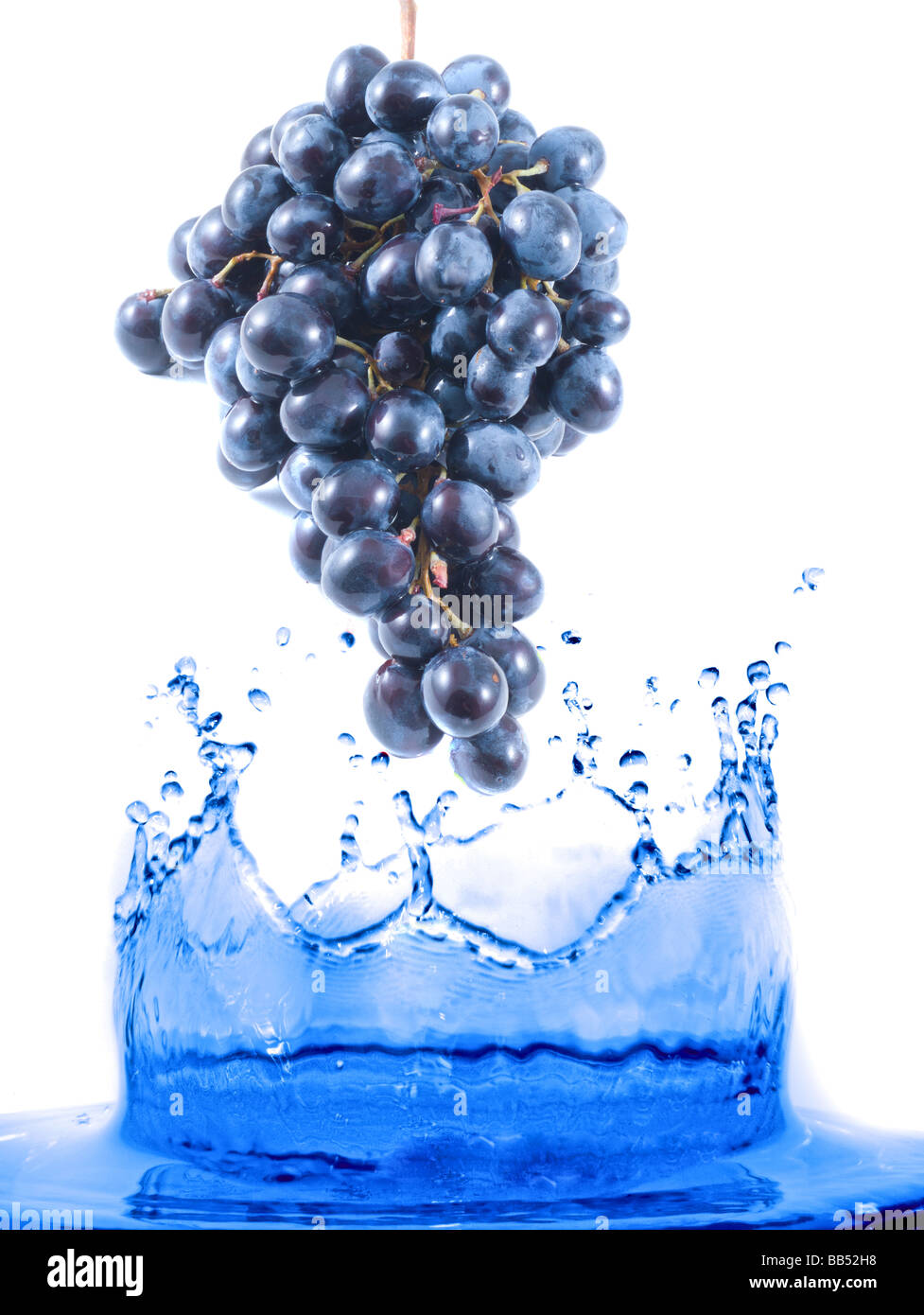 berry jumping into water with a splash Stock Photo - Alamy