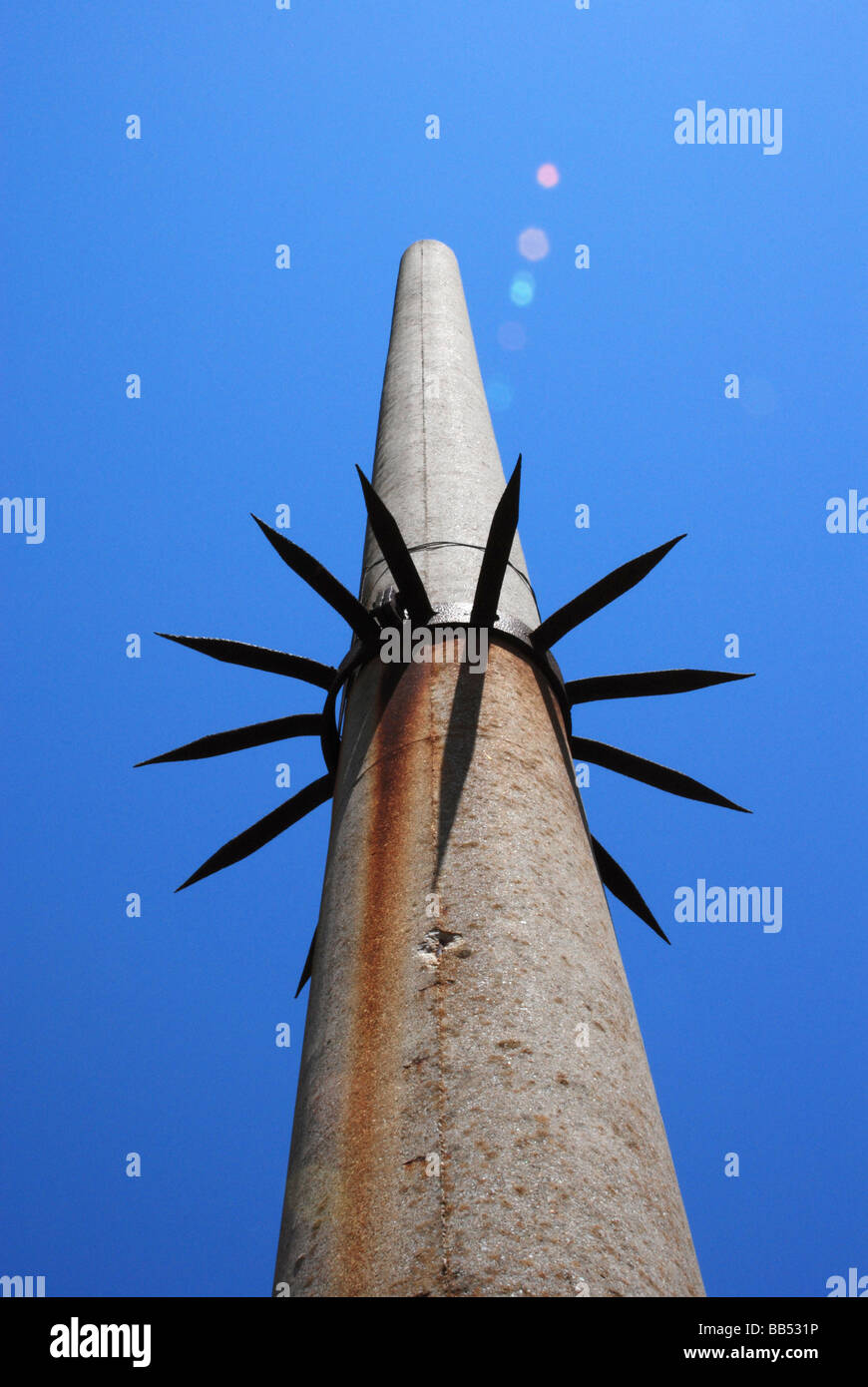 A telegraph pole with security spikes against a blue sky Stock Photo ...