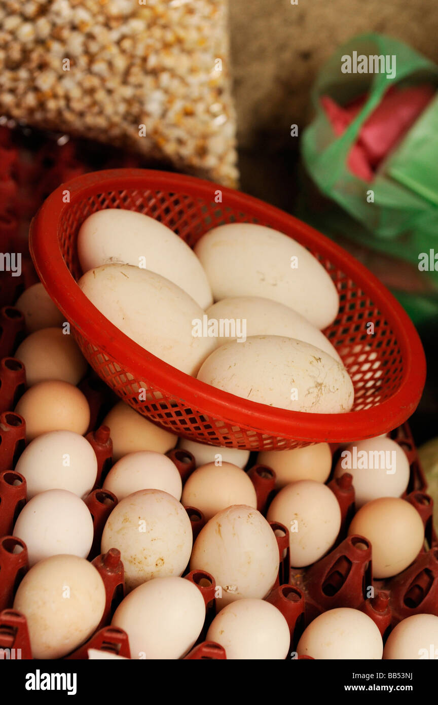 swan and chicken eggs comparison at fresh market in Old Quarter, Hanoi ...