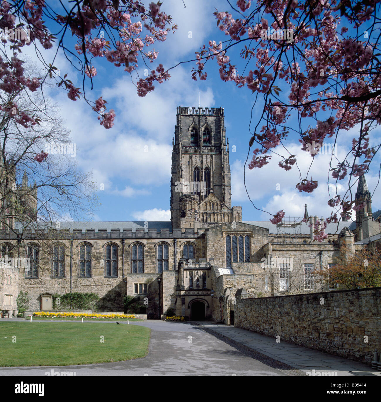 Durham Cathedral south front with central tower and spring blossom ...