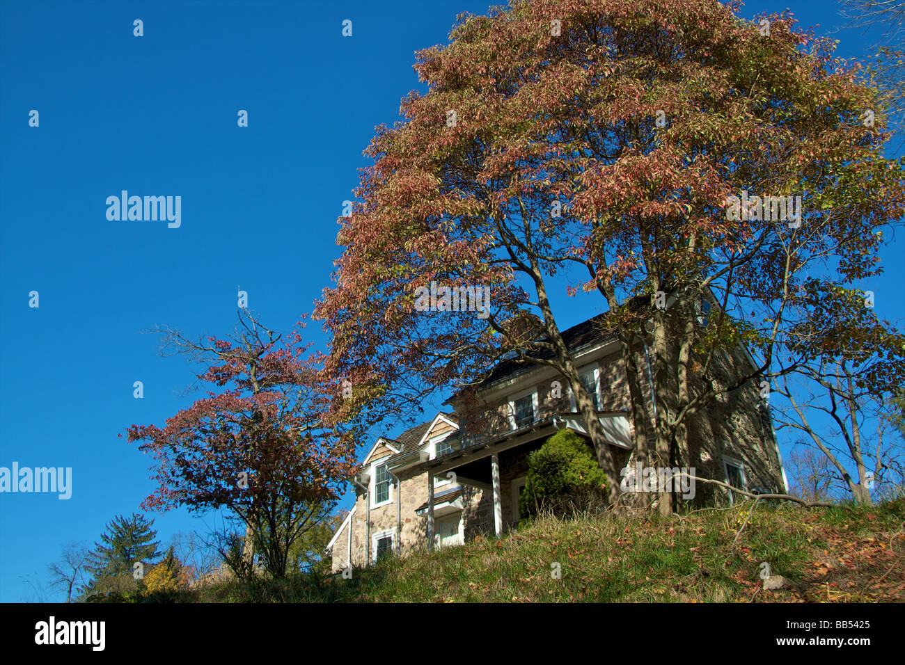 House on hill under tree with autumn leaves Stock Photo - Alamy